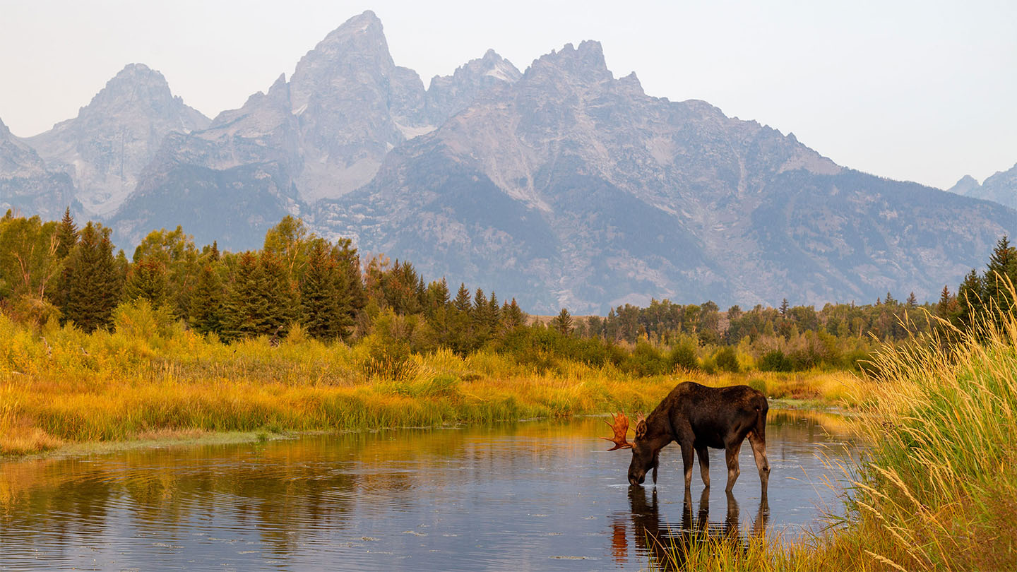 What to expect from Jackson Hole