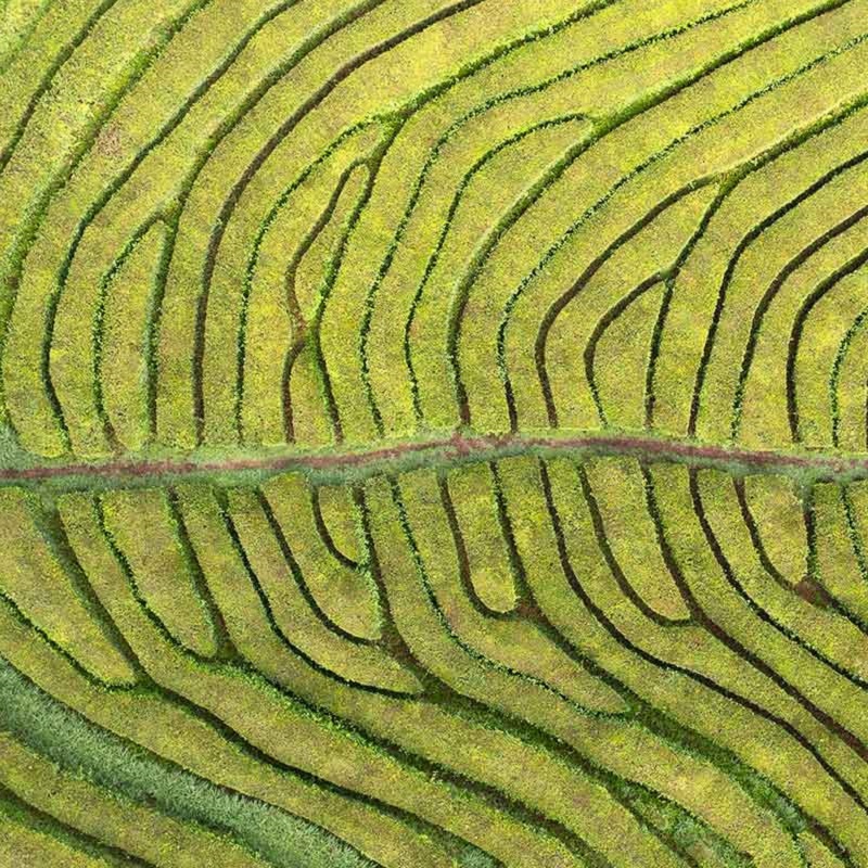 J.P. Morgan | Official Website